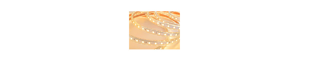 Strips LED 230 Volts, de grande lignes lumineuses Starled