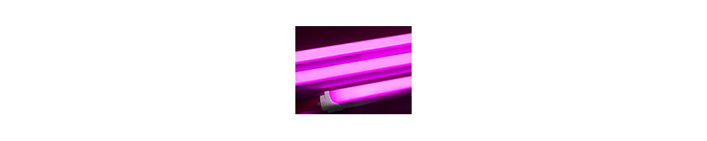 Les tubes LED Meat Serie Starled